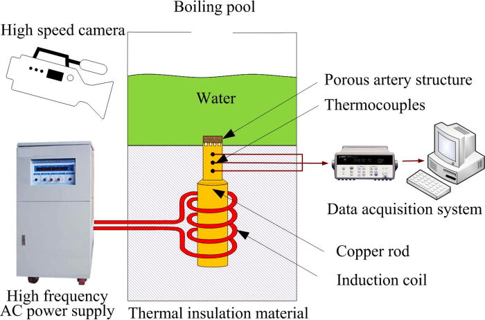 Pool boiling with high heat flux enabled by a porous artery structure ...