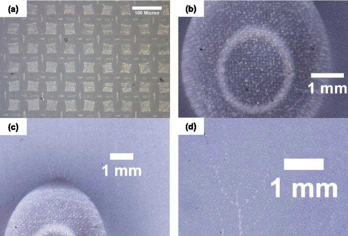 Sliding viscoelastic drops on slippery surfaces | Applied Physics ...