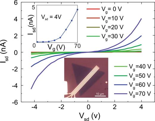 Band structure characterization of WS2 grown by chemical vapor ...