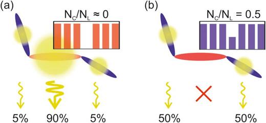 Impact of charge carrier injection on single-chain photophysics of ...