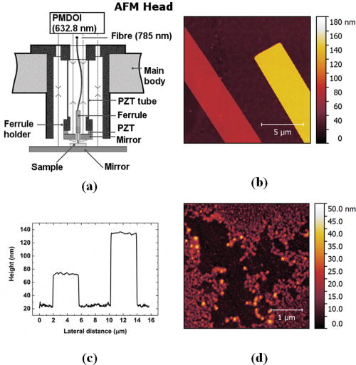 Traceable atomic force microscopy of high-quality solvent-free crystals of [6,6]-phenyl-C61 ...