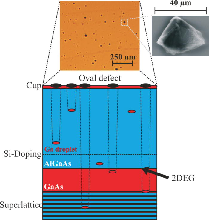 Influence of oval defects on transport properties in high-mobility two ...