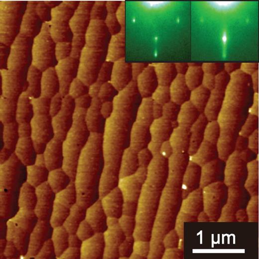 Atomically flat reconstructed rutile TiO2(001) surfaces for oxide film ...
