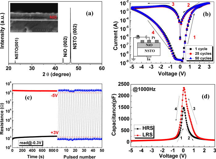 Electric field-induced coexistence of nonvolatile resistive and magnetization switching in Pt ...