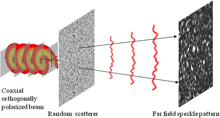 Determining helicity and topological structure of coherent vortex beam ...