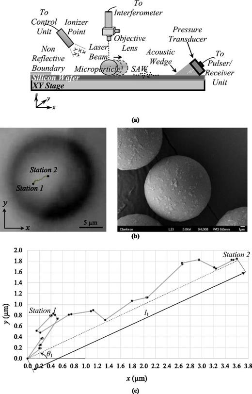 Adhesion distribution on the surface of a single microparticle ...