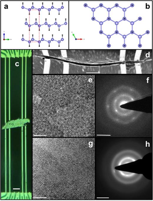 Basal-plane thermal conductivity of nanocrystalline and amorphized thin ...