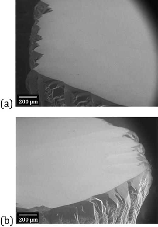MPACVD growth of single crystalline diamond substrates with PCD rimless ...