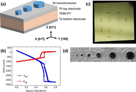 Magnetic microscopy and simulation of strain-mediated control of ...