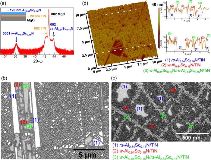 Understanding the Rocksalt-to-Wurtzite phase transformation through ...