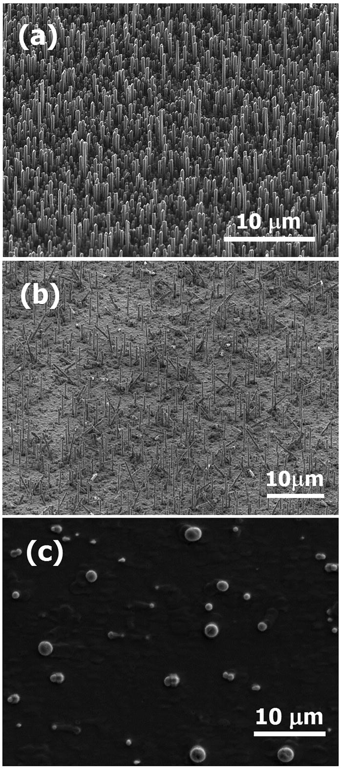 Photoacoustic spectroscopy of absorption edge for GaAsBi/GaAs nanowires ...