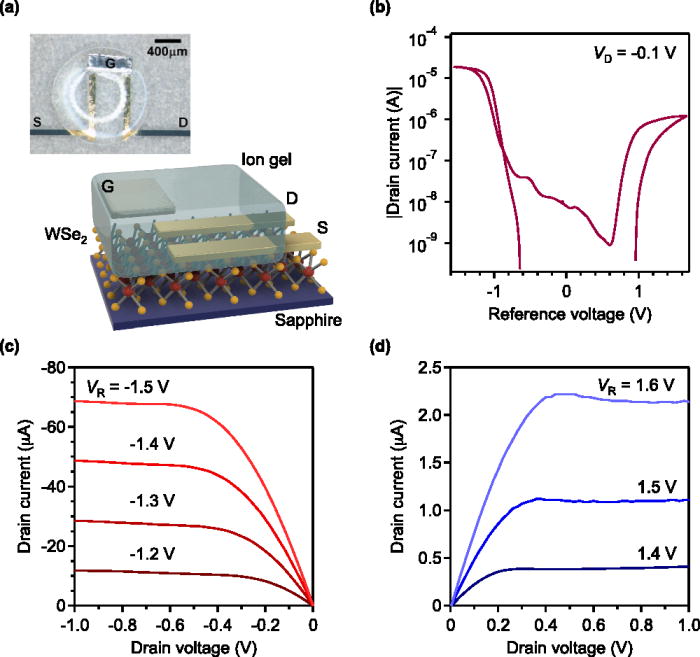 Photodetection in p–n junctions formed by electrolyte-gated transistors ...