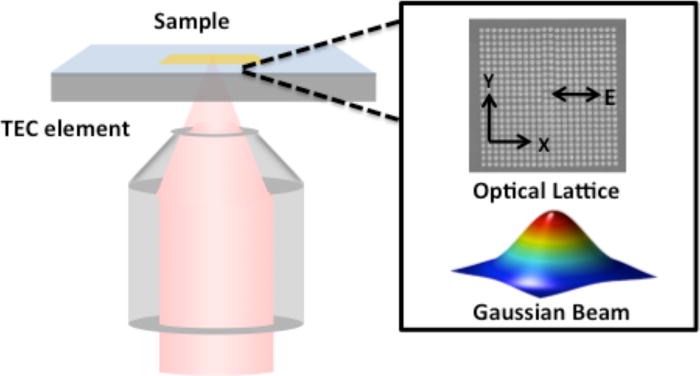Suppression of photothermal convection of microparticles in two ...