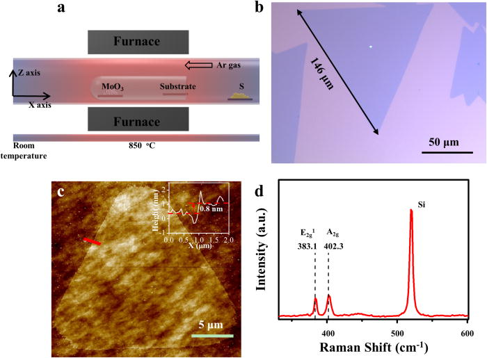 Synthesis of large monolayer single crystal MoS2 nanosheets with uniform size through a double ...