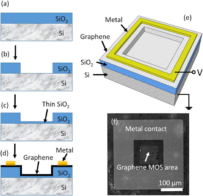 Gate tunneling current and quantum capacitance in metal-oxide ...