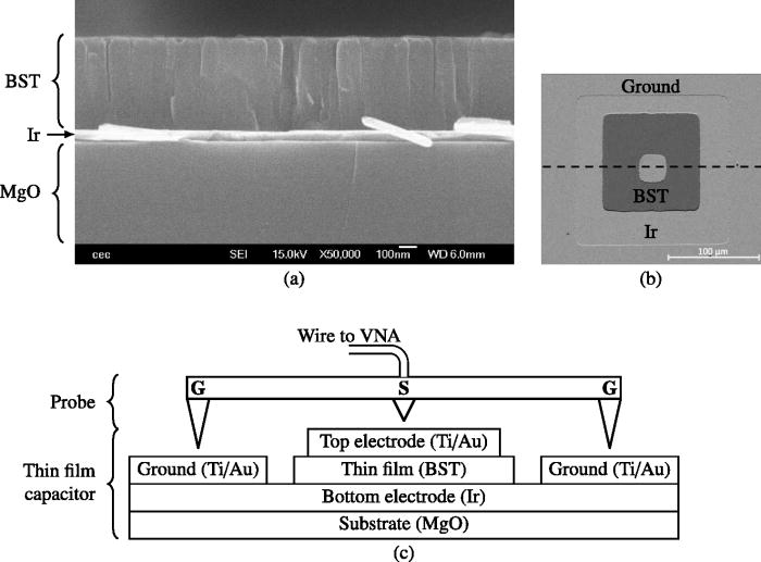 Domain wall motions in BST ferroelectric thin films in the microwave ...