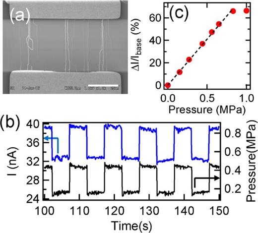 Pressure-sensing properties of single-walled carbon nanotubes covered ...