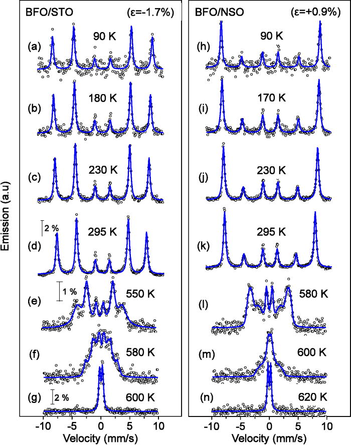 Insight into magnetic, ferroelectric and elastic properties of strained ...