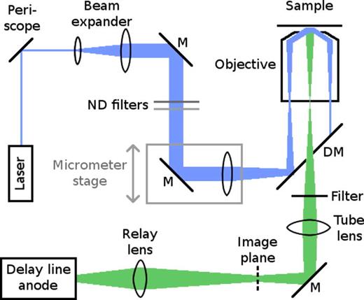 Picosecond wide-field time-correlated single photon counting ...