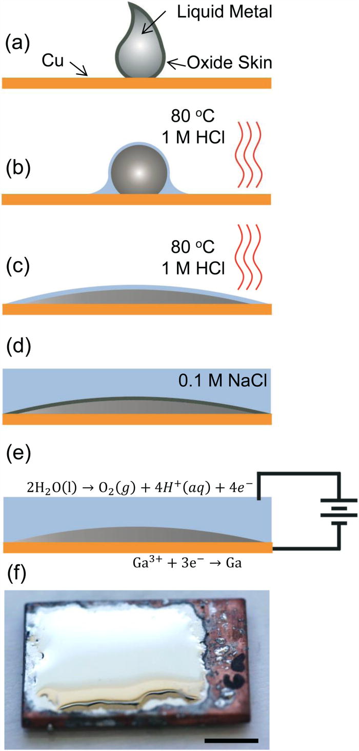 Liquid gallium and the eutectic gallium indium (EGaIn) alloy ...