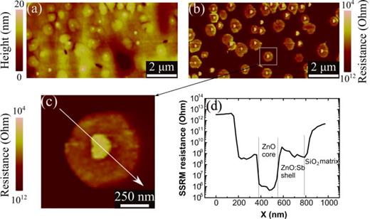 Cross-section imaging and p-type doping assessment of ZnO/ZnO:Sb core ...