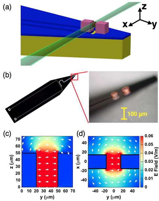 Optimized coplanar waveguide resonators for a superconductor–atom ...