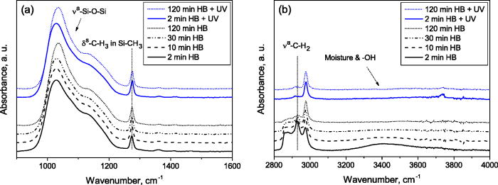 Plasma induced damage mitigation in spin-on self-assembly based ultra ...
