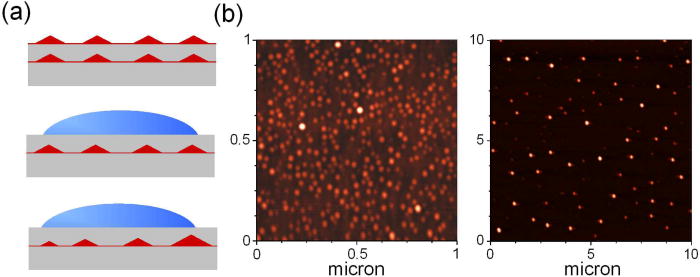 Non-radiative energy transfer in quantum dot ensemble mediated by ...