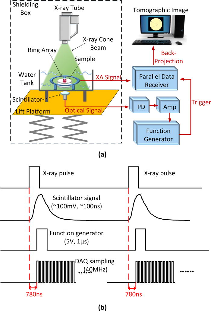 X-ray-induced acoustic computed tomography with an ultrasound ...