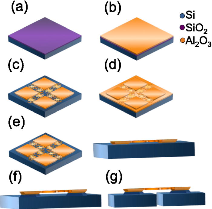Stretchable and foldable silicon-based electronics | Applied Physics ...