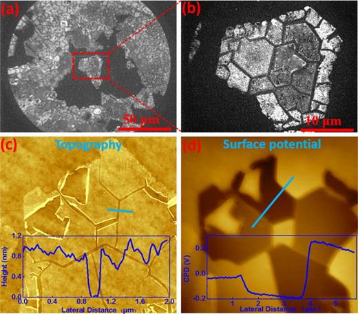 Orientation-specific transgranular fracture behavior of CVD-grown ...