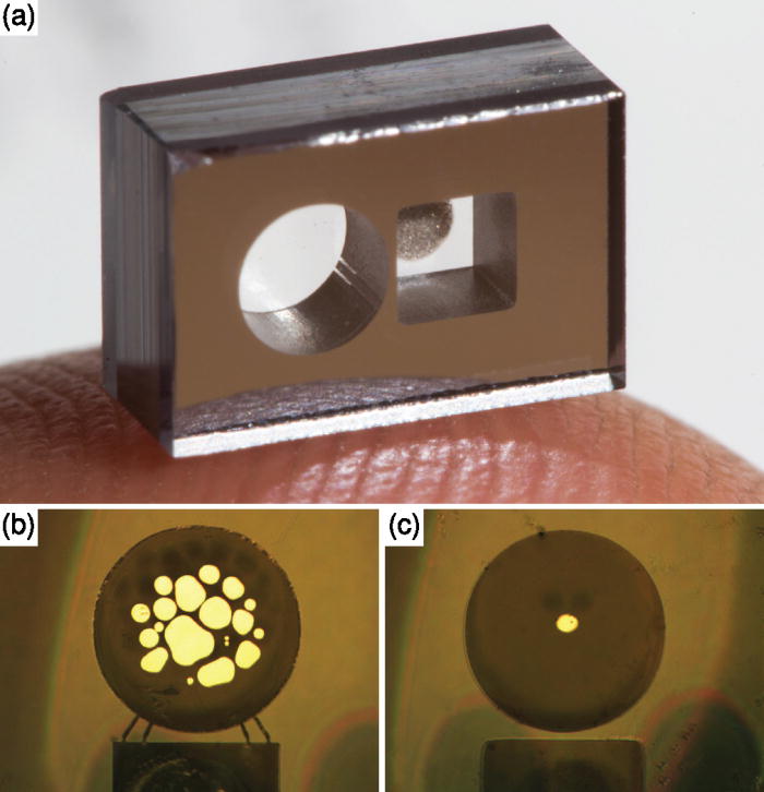 Microfabricated vapor cells filled with a cesium dispensing paste for ...