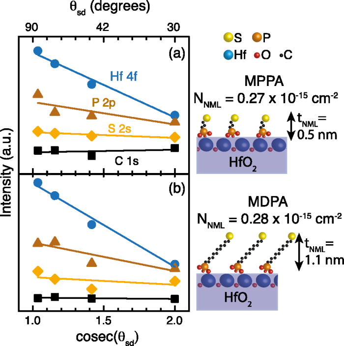 Chemical bonding and nanomolecular length effects on work function at ...