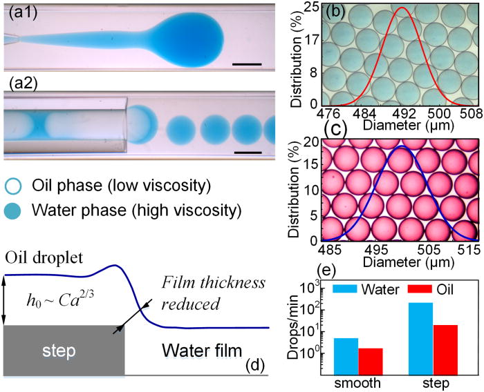 Phase inversion of slug flow on step surface to form high viscosity ...