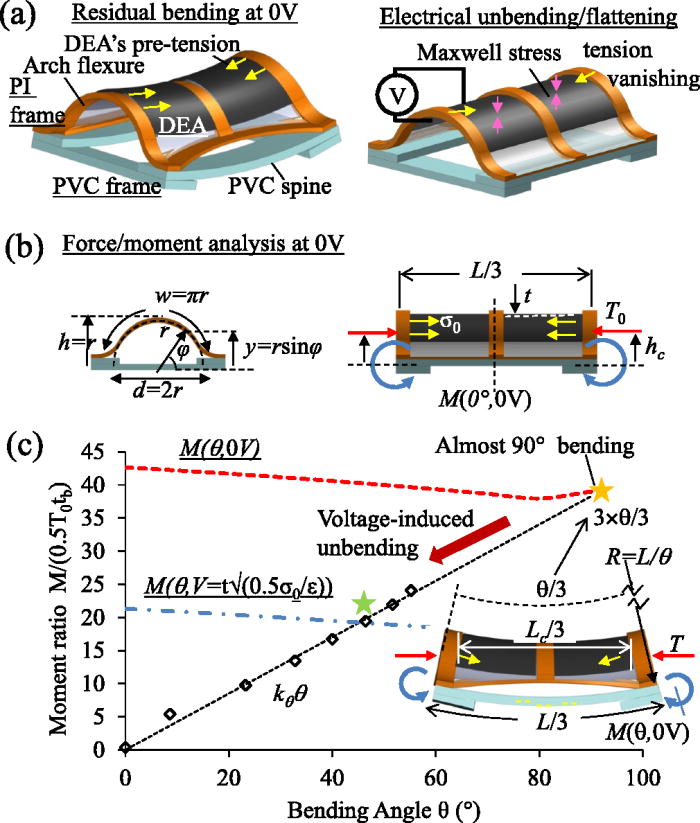 Dielectric elastomer fingers for versatile grasping and nimble pinching | Applied Physics ...