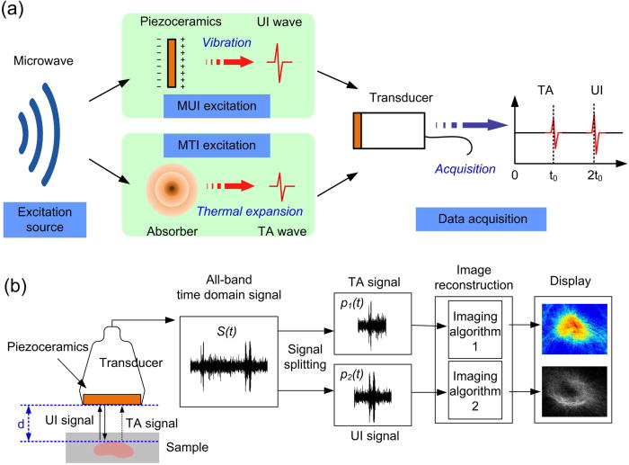 Microwave-excited ultrasound and thermoacoustic dual imaging | Applied ...