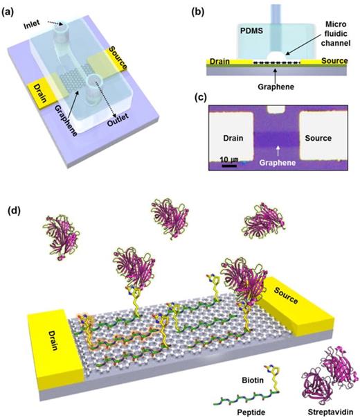 Highly sensitive graphene biosensor by monomolecular self-assembly of ...