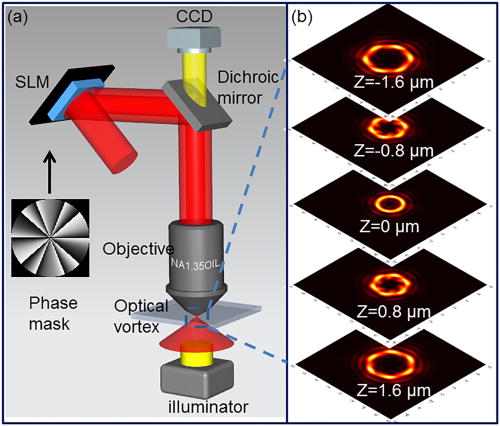 Direct laser writing of complex microtubes using femtosecond vortex ...