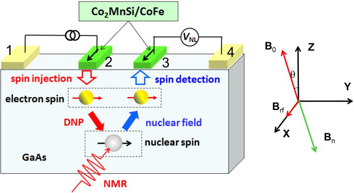Electrical detection of nuclear spin-echo signals in an electron spin ...