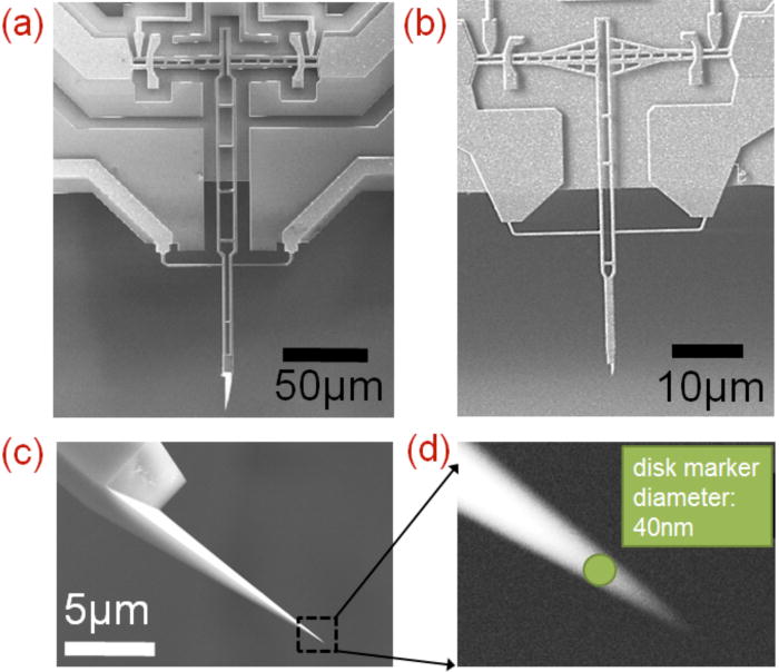 Atomic force microscope based on vertical silicon probes | Applied ...