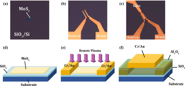 Improved integration of ultra-thin high-k dielectrics in few-layer MoS2 ...