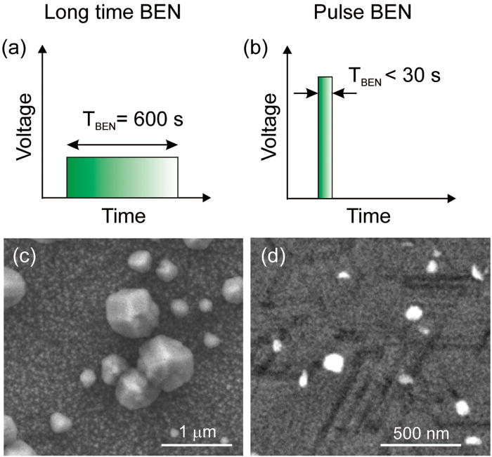 Highly oriented diamond (111) films synthesized by pulse bias-enhanced ...