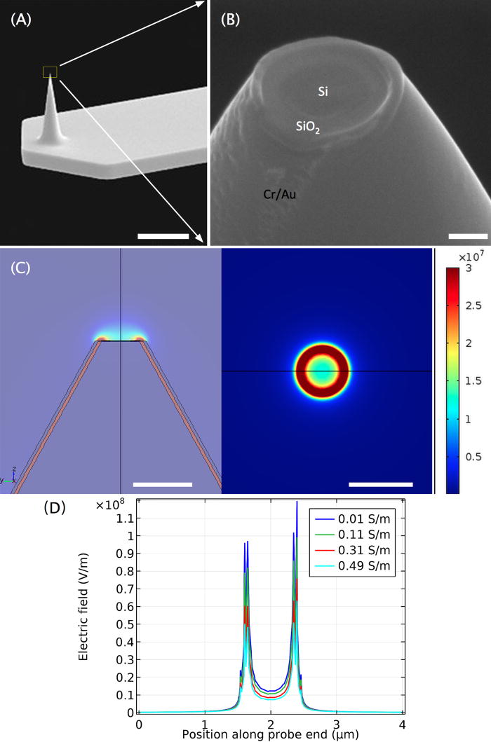 Coaxial Atomic Force Microscope Probes For Dielectrophoresis Of Dna Under Different Buffer