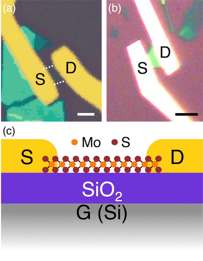 Vacuum ultraviolet radiation effects on two-dimensional MoS2 field ...