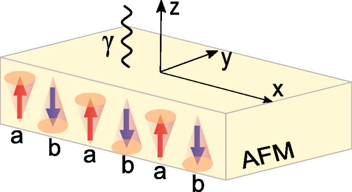 Magnon-photon coupling in antiferromagnets | Applied Physics Letters ...