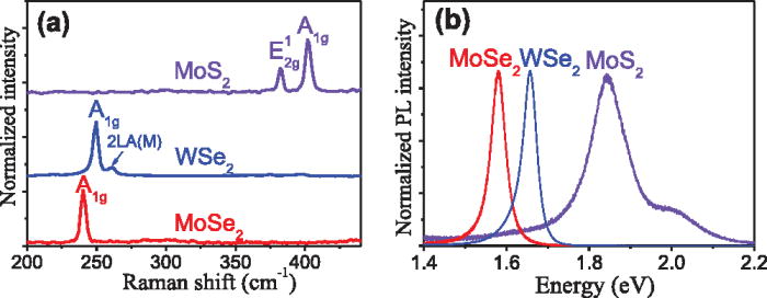 Anharmonicity of monolayer MoS2, MoSe2, and WSe2: A Raman study under ...