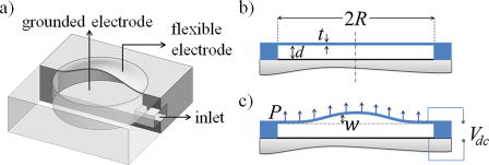Bi-stability of micro-plates: A sensitive mechanism for differential ...