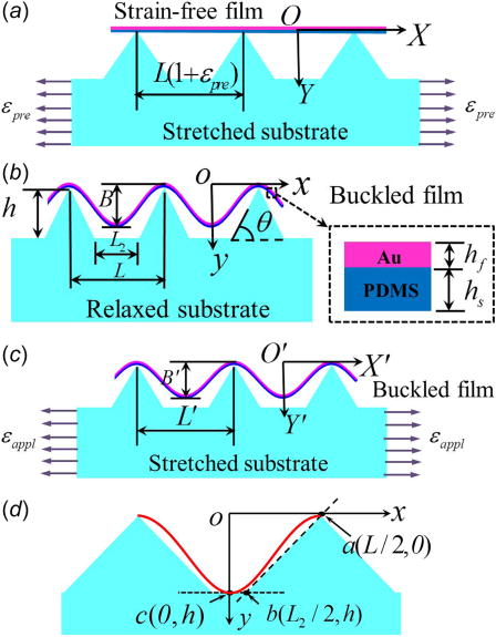 Buckling analysis of stiff thin films suspended on a substrate with ...