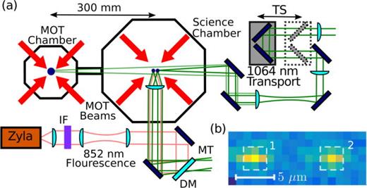 Single atom imaging with an sCMOS camera | Applied Physics Letters ...