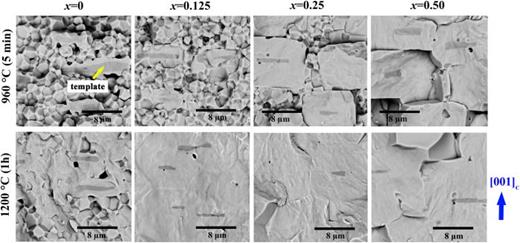Enhanced texture evolution and piezoelectric properties in CuO-doped Pb ...